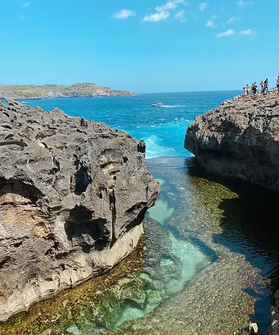 Island Tour - Indo Compass